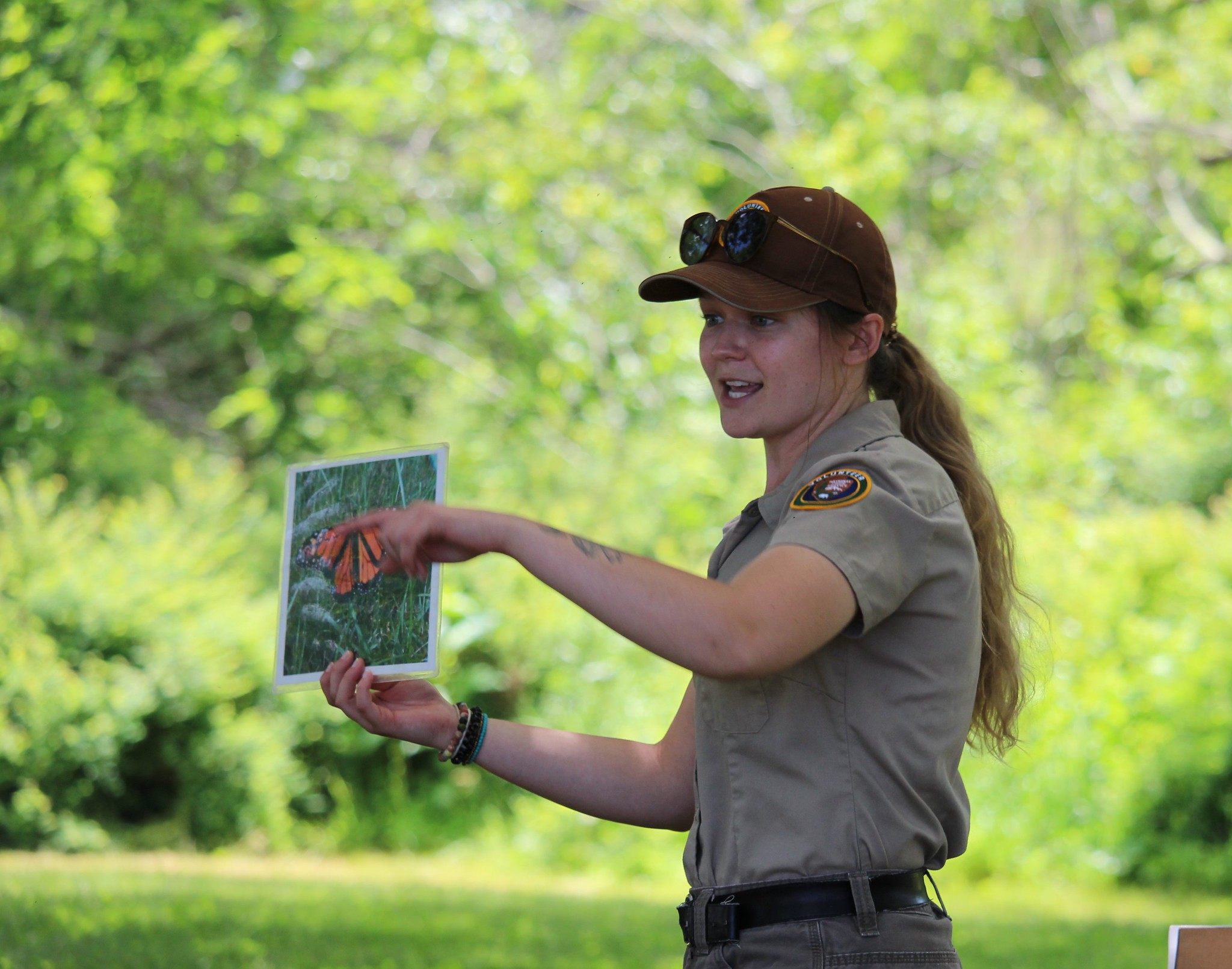 Internships at Shenandoah - Shenandoah National Park Trust