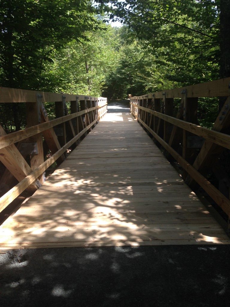 Limberlost Track Trail - Shenandoah National Park Trust