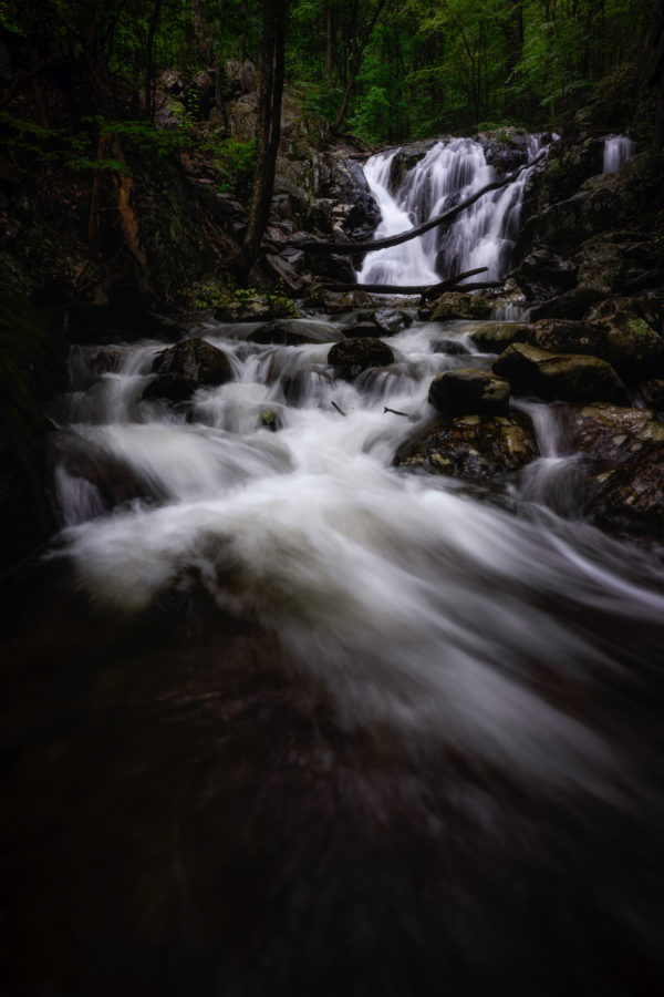 Everything Your Need To Know To Visit Shenandoah National Park