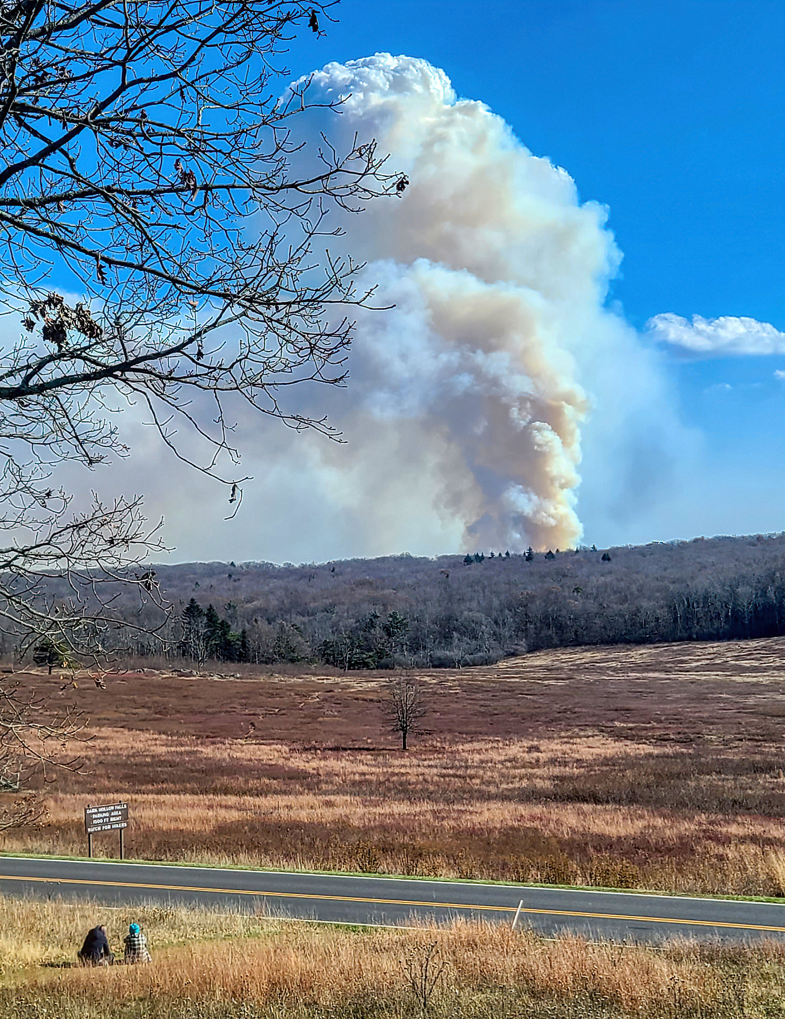 The Flames of Climate Change - Shenandoah National Park Trust